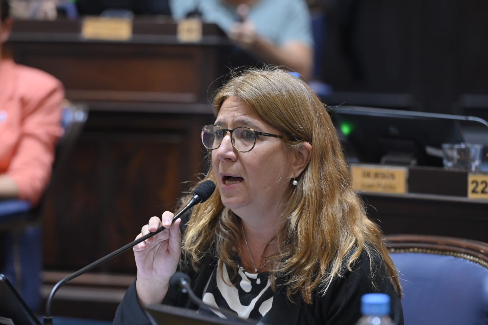 Rompió el silencio la única diputada de Kicillof que no dio quórum en ...