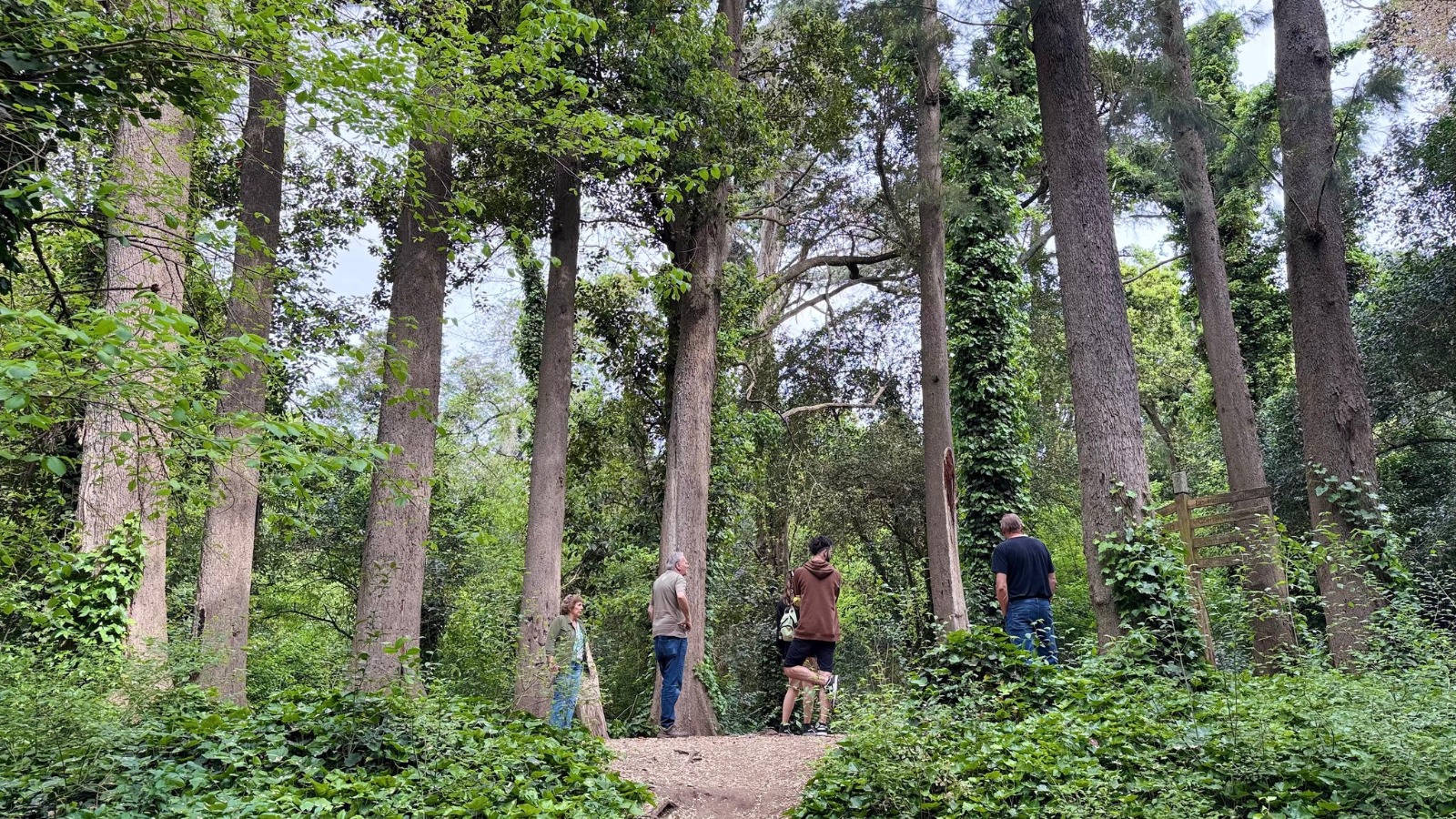 Semana Santa: Astroturismo en General Lavalle, Bosque Encantado en ...