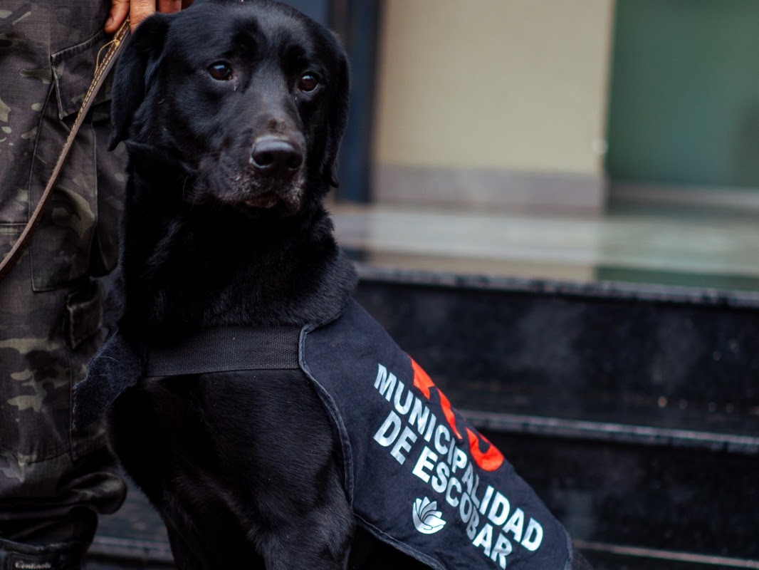 La Noticia 1 | Las últimas noticias de la Provincia de Buenos Aires