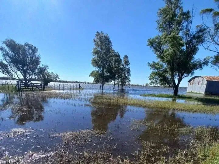 La Noticia 1 | Las últimas noticias de la Provincia de Buenos Aires
