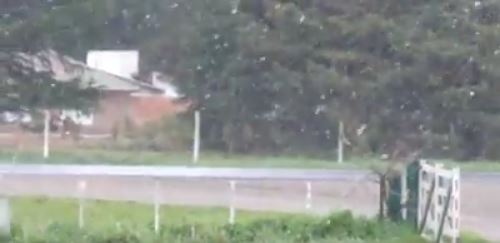 Video: Sorpresiva nieve de septiembre en Balcarce – La Noticia 1